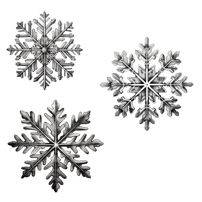 14 Black White Snowflakes Clipart, Christmas Print, Printable ...