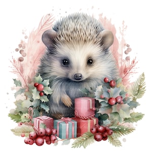 10 Stylized Christmas Hedgehog Clipart, Printable Watercolor Clipart ...