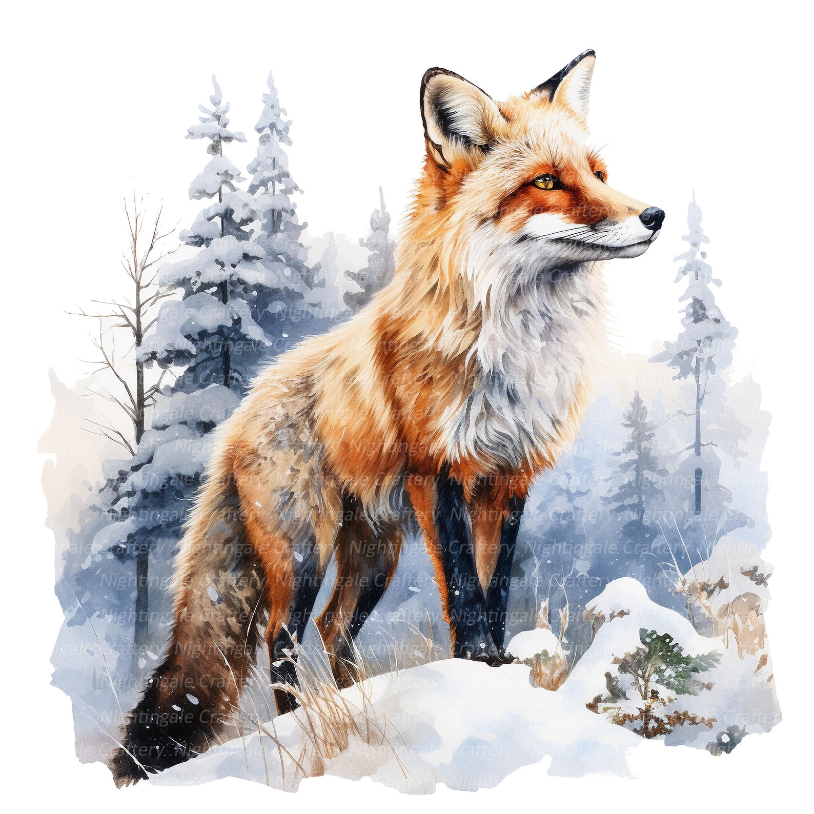 12 Fox in Winter Clipart, Printable Watercolor Clipart, High Quality ...