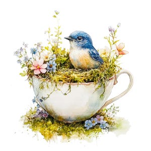 11 Bird and Tea Cup Clipart, Tea Party Clipart, Printable Watercolor ...