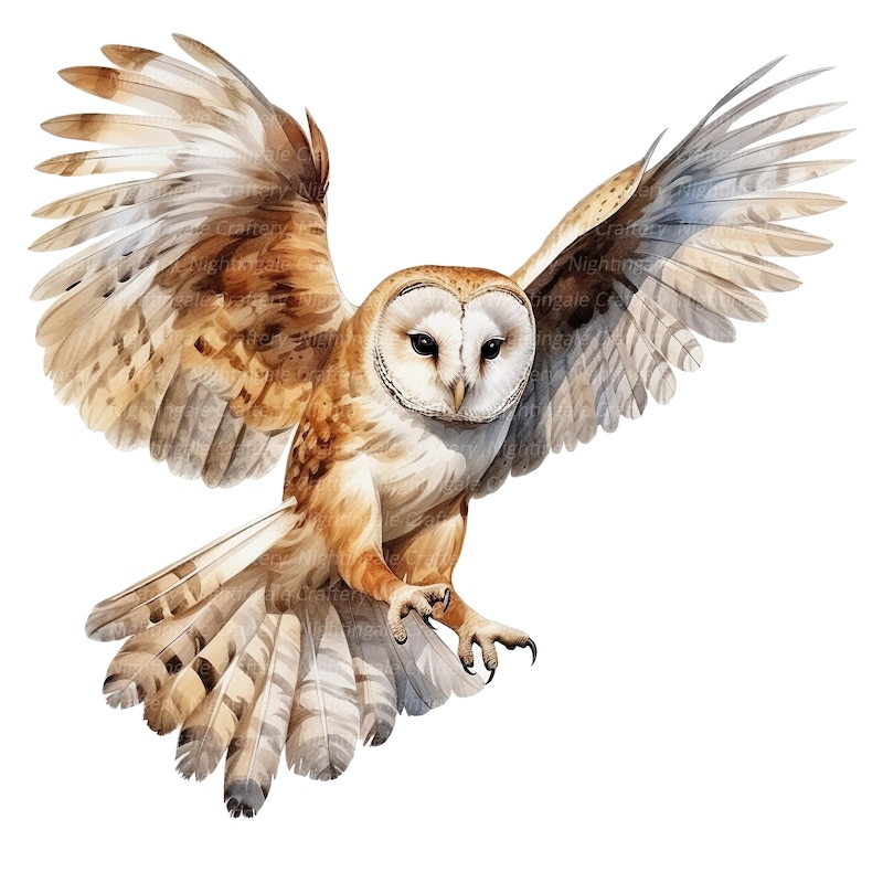 White Clipart Barn - Etsy UK