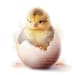 12 Chick Hatching Clipart, Egg Hatching, Printable Watercolor Clipart ...