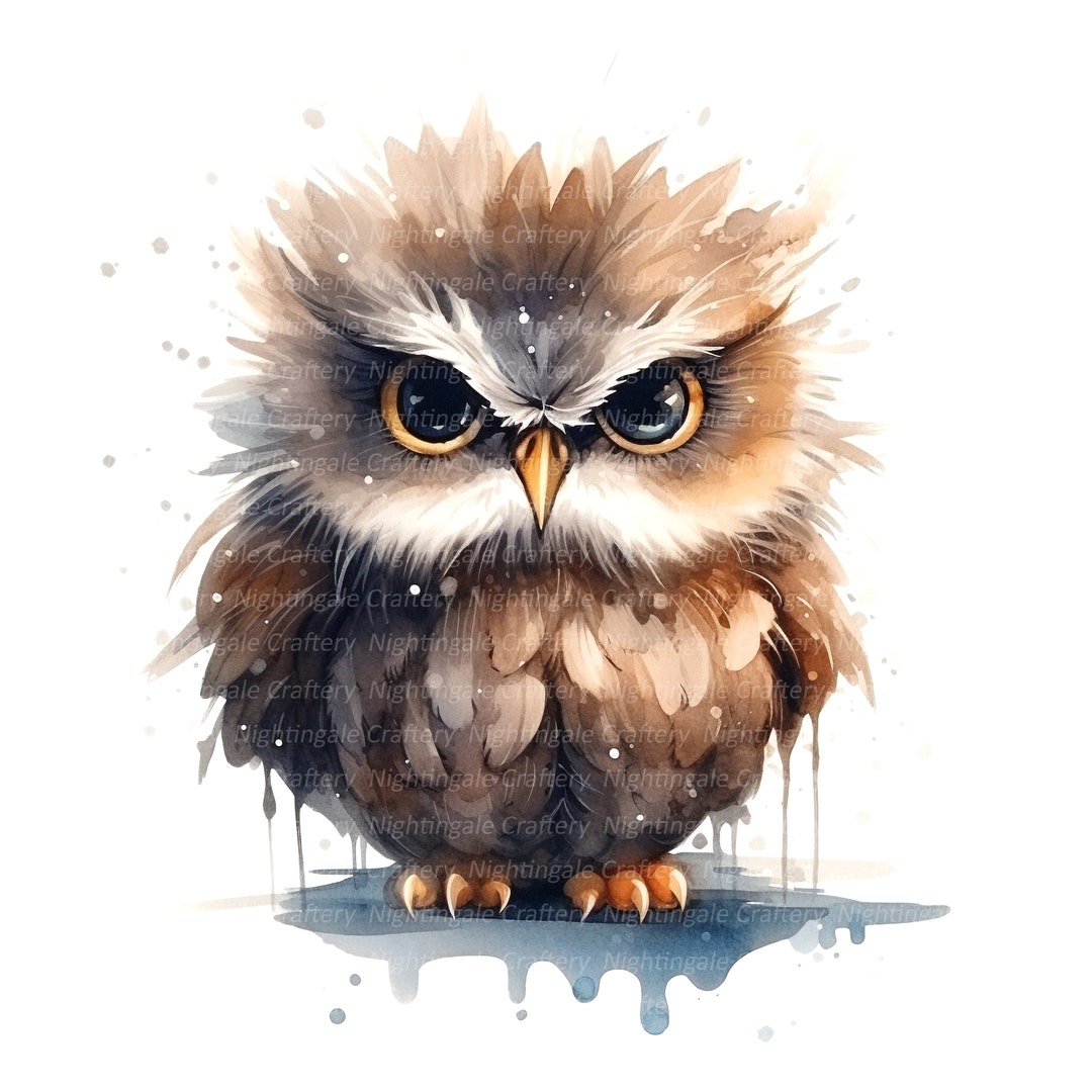 10 Grumpy Owl Clipart, Cute Owl Clipart, Digital Clipart, Watercolor ...