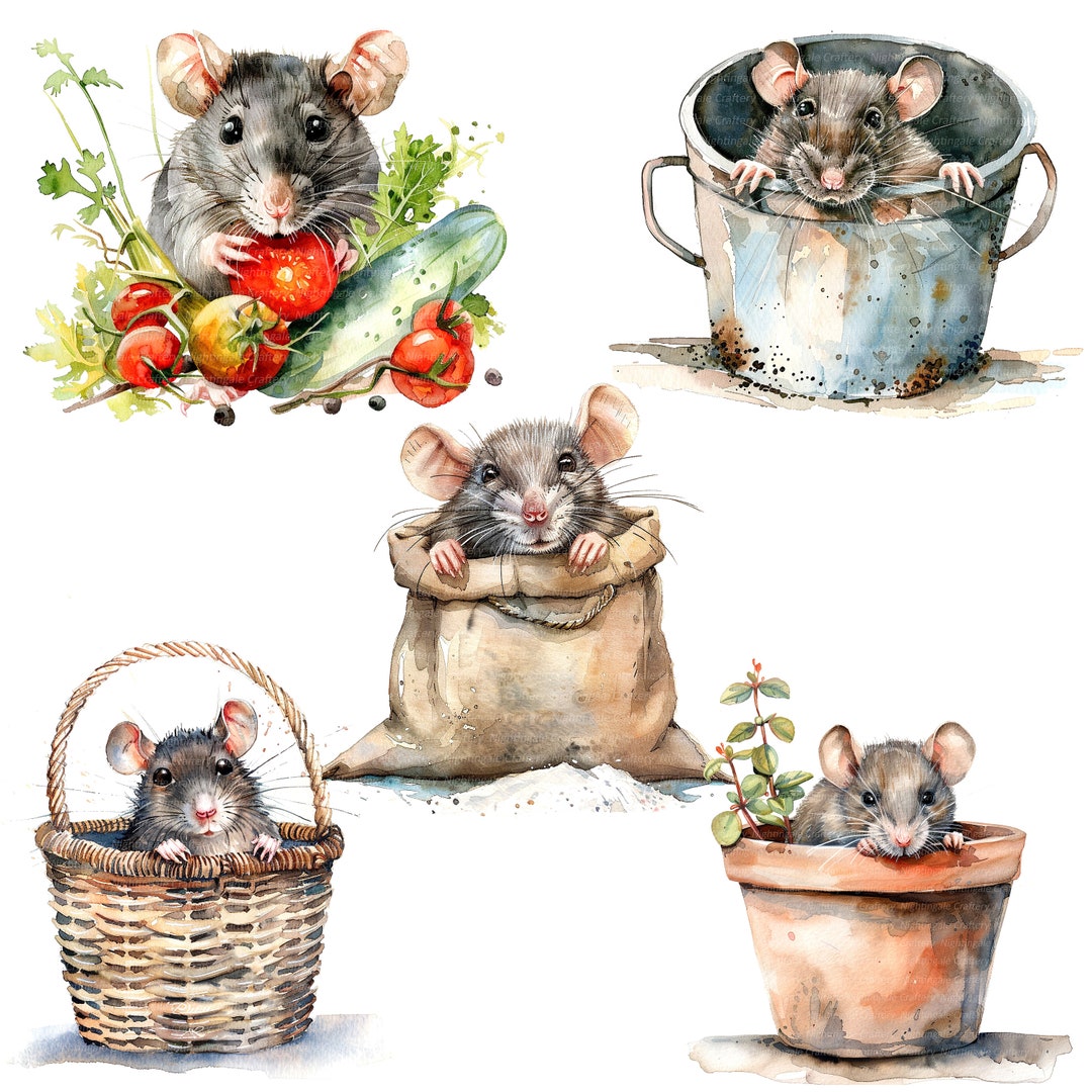 14 Cute Rat Clipart, Cute Mouse Clipart, Printable Watercolor Clipart ...