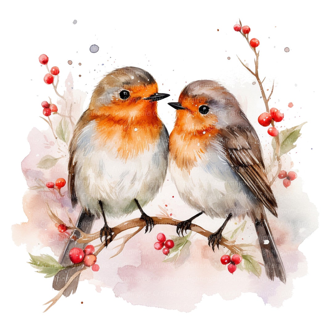 10 Christmas Robin Love Clipart, Printable Watercolor Clipart, High ...