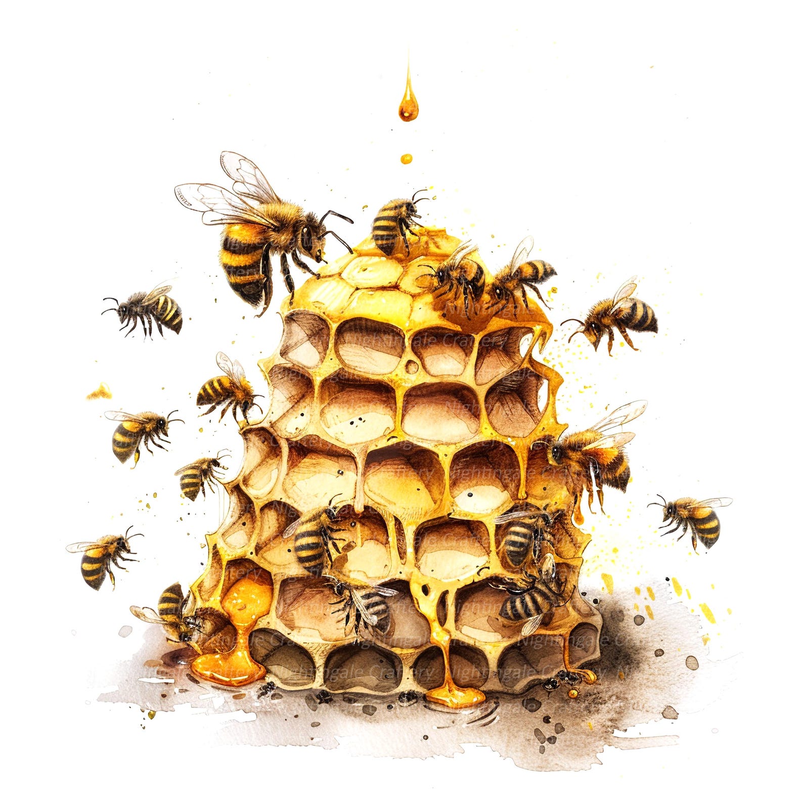 10 Bees Clipart, Honey Clipart, Beehive, Printable Watercolor Clipart ...