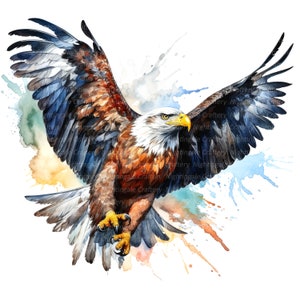 12 Eagle Clipart, Bald Eagle, Printable Watercolor Clipart, High ...