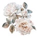 10 White Roses Clipart Set 2, Roses Bouquet, Printable Watercolor ...