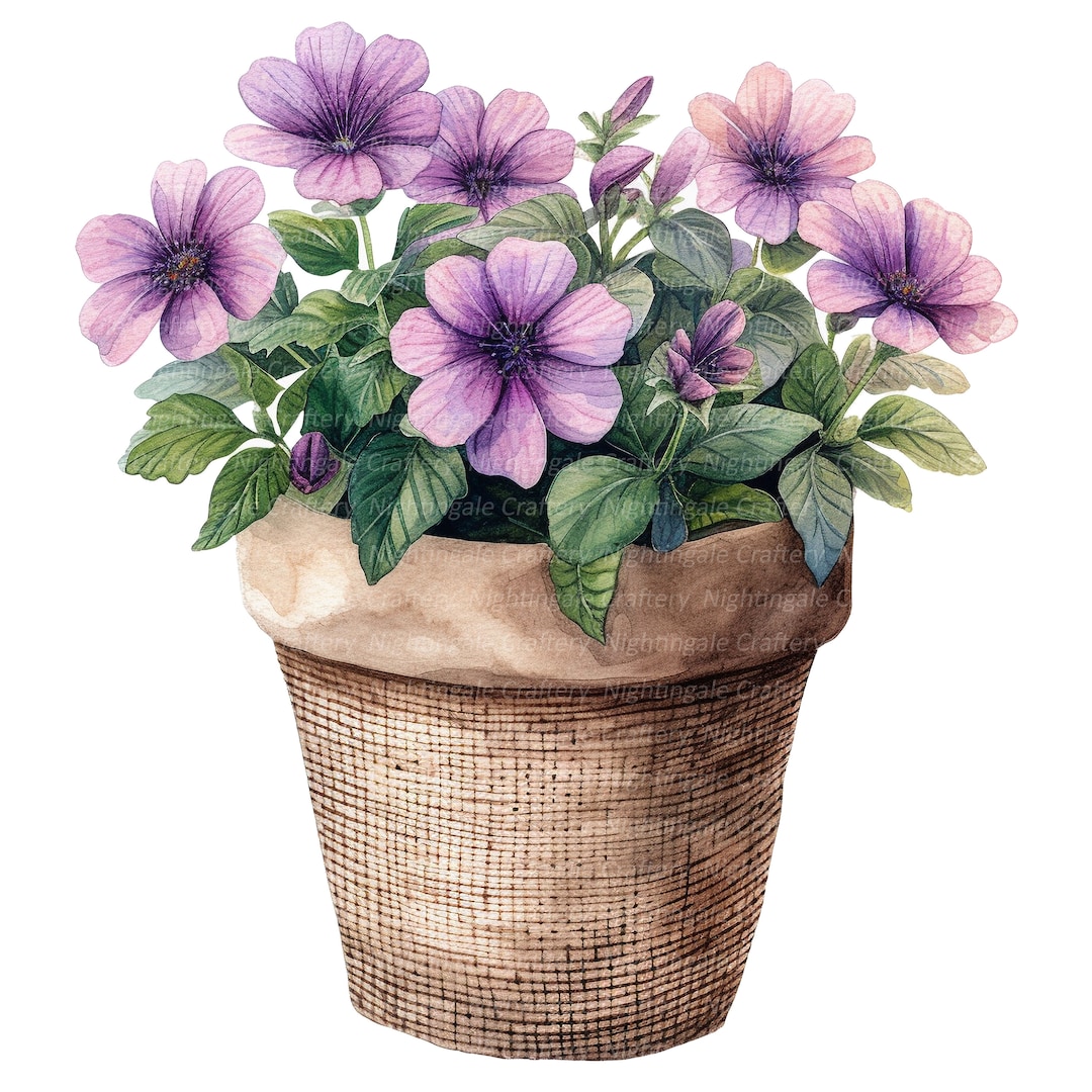 12 Rustic Flower Pots Clipart, Floral Pots, Printable Watercolor ...