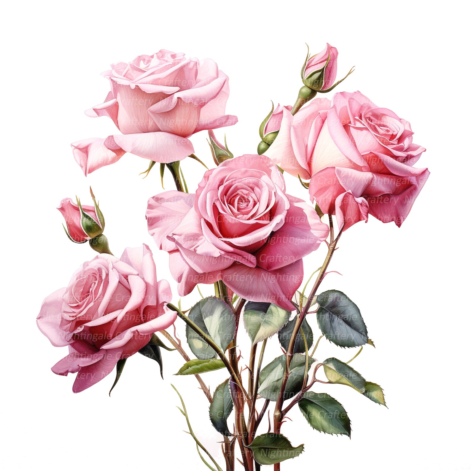 10 Pink Roses Long Stems Clipart, Roses Bouquet, Printable Watercolor ...