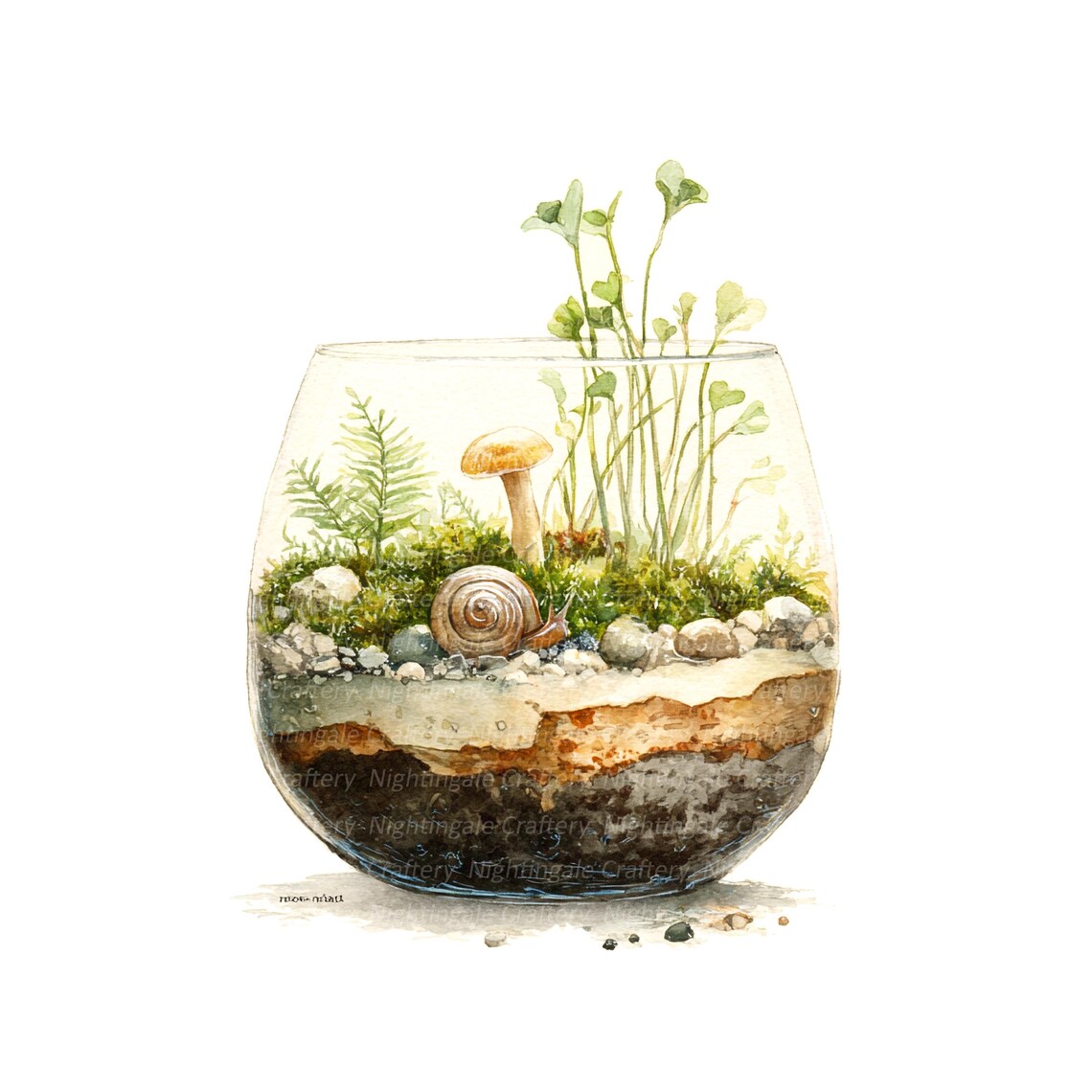 12 Glass Terrarium Jar Clipart, Botanical Terrarium, Printable ...
