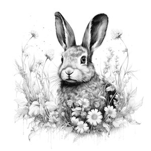 10 Bunny Black Ink Clipart, Line Art Clipart, Printable Watercolor ...