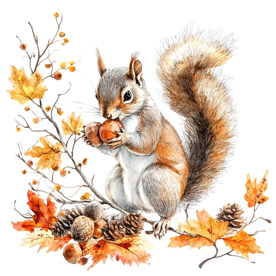 9 Autumn Squirrel Clipart, Autumn Bouquet Clipart, Printable Watercolor ...