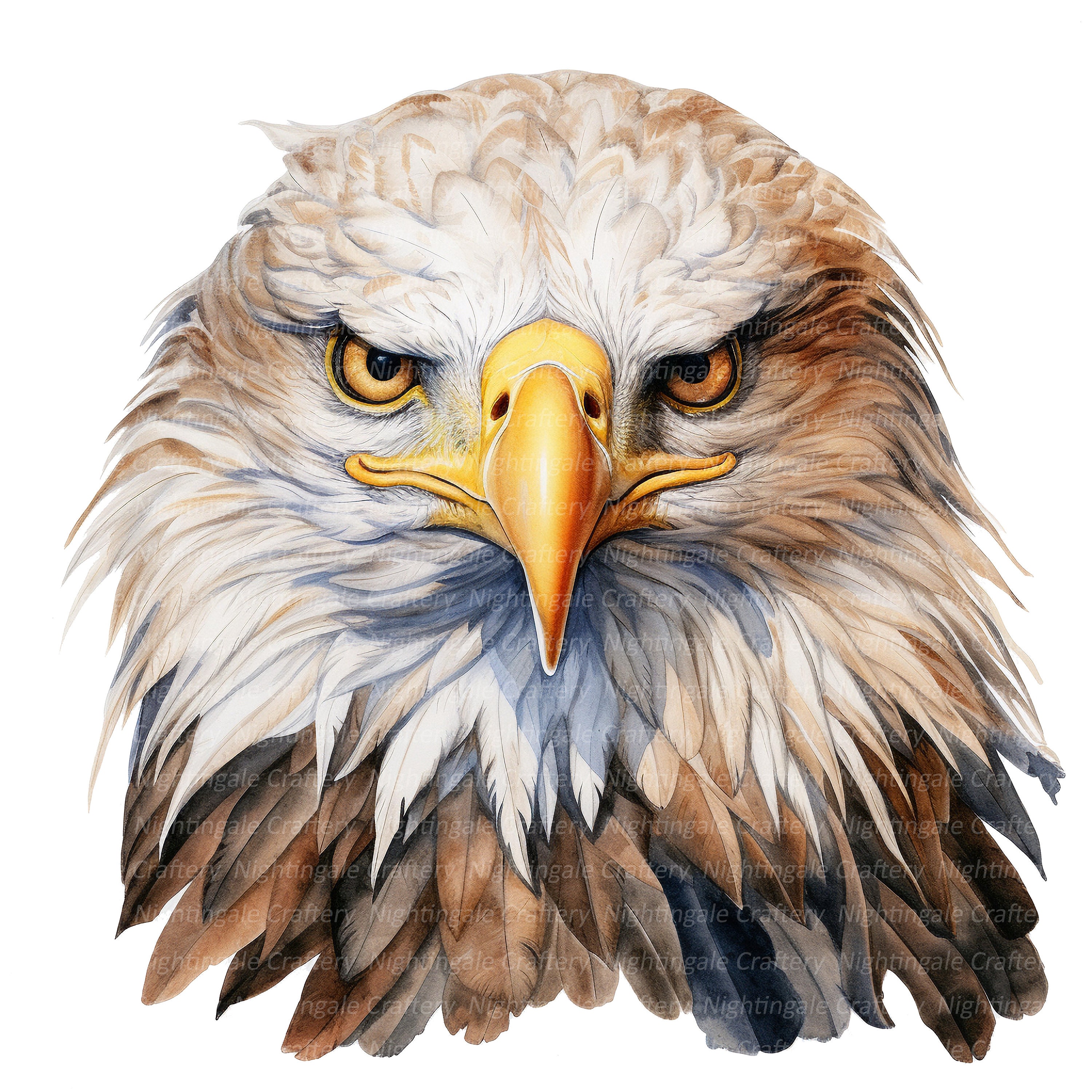 12 Eagle Clipart Set 2 Bald Eagle Printable Watercolor - Etsy