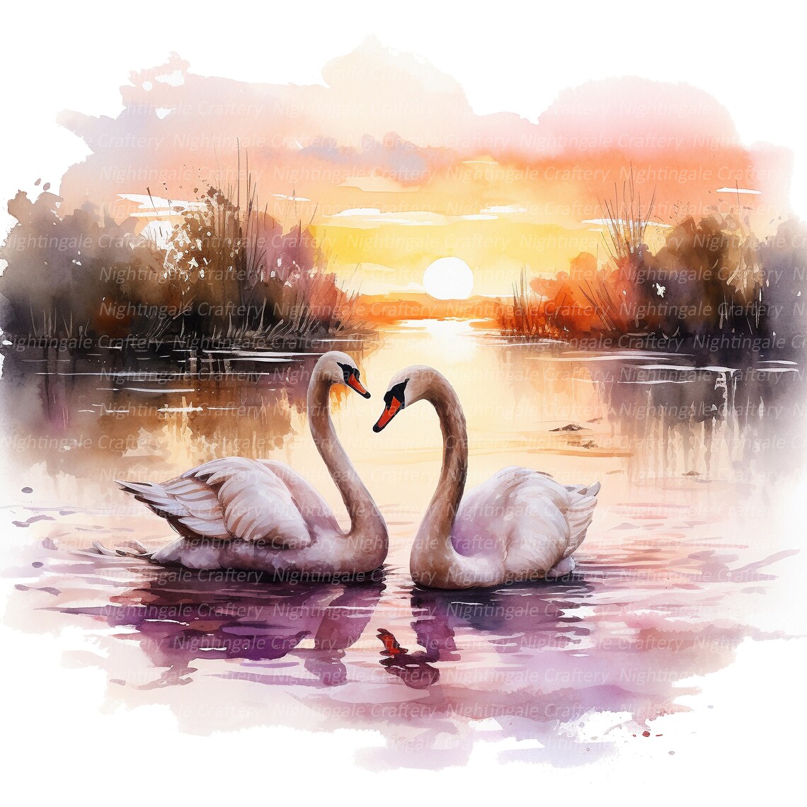 12 Swan Couple Clipart, Swans, Printable Watercolor Clipart, High ...