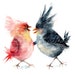 12 Whimsical Birds Clipart, Two Birds, Digital Clipart, Watercolor ...