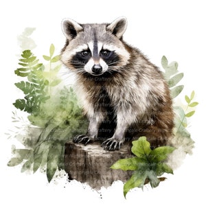Raccoon in Forest Clipart, Printable Watercolor Clipart, 10 High ...