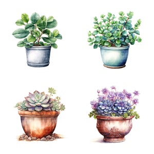 16 Various Flower Pots Clipart, Succulents, Printable Watercolor ...