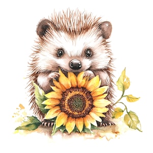 12 Hedgehog Sunflower Clipart, Cartoon Hedgehog, Printable Watercolor ...