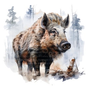 12 Wild Boar in Winter Clipart, Printable Watercolor Clipart, High ...