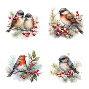 20 Various Christmas Birds Clipart, Robin, Printable Watercolor Clipart ...