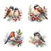20 Various Christmas Birds Clipart, Robin, Printable Watercolor Clipart ...