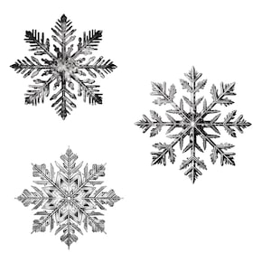 14 Black White Snowflakes Clipart, Christmas Print, Printable ...