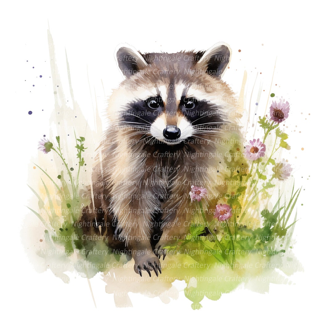 Raccoon in Forest Clipart, Printable Watercolor Clipart, 10 High ...