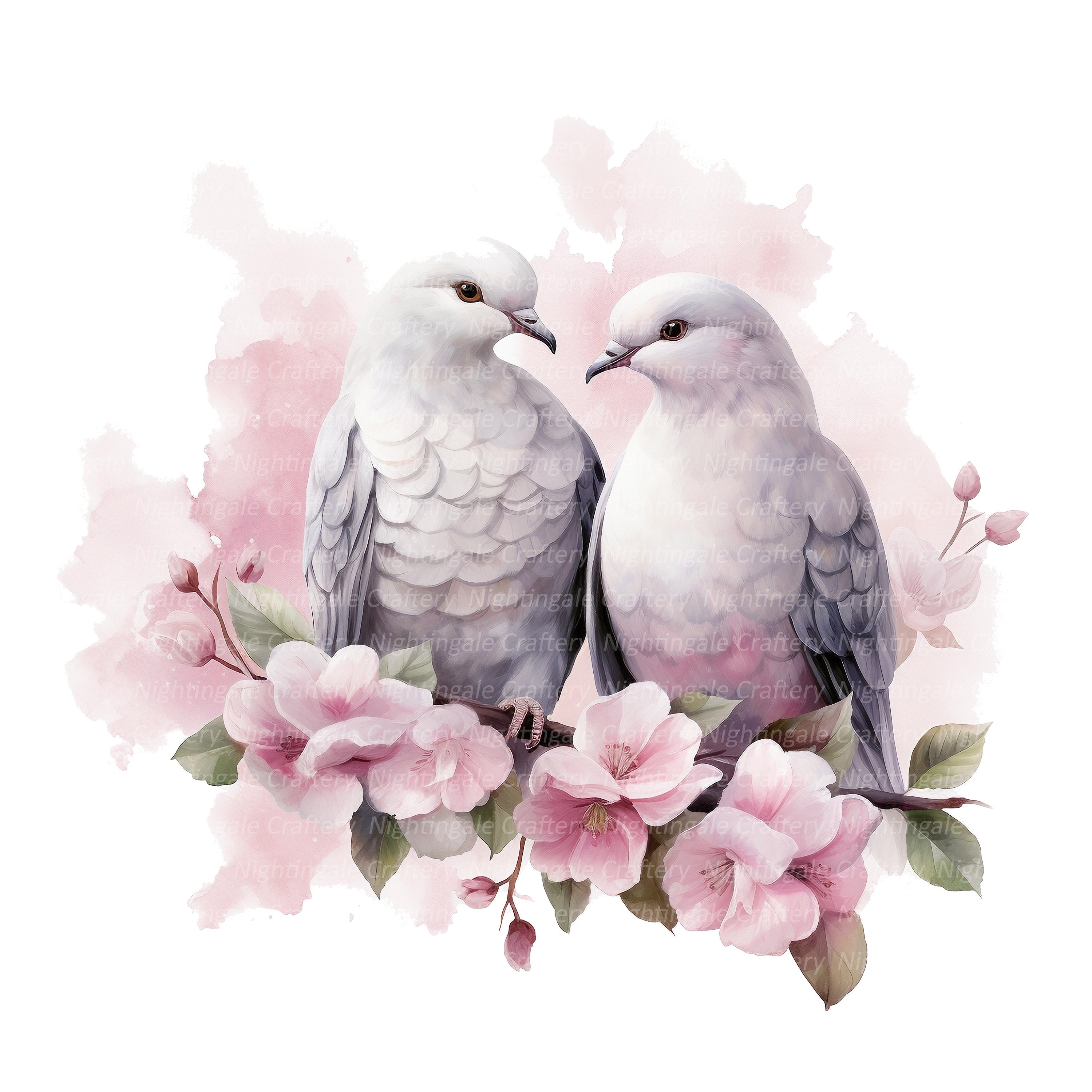 12 Romantic Doves Couple Clipart, Love Doves, Printable Watercolor ...