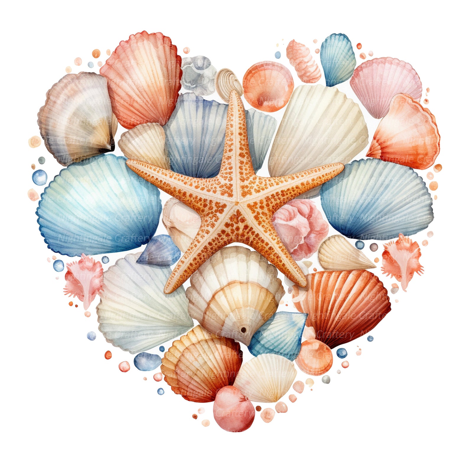 14 Sea Shells Heart Clipart, Seashell Clipart, Printable Watercolor ...