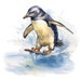 10 Surfing Penguin Clipart, Attractive Penguin, Printable Watercolor ...