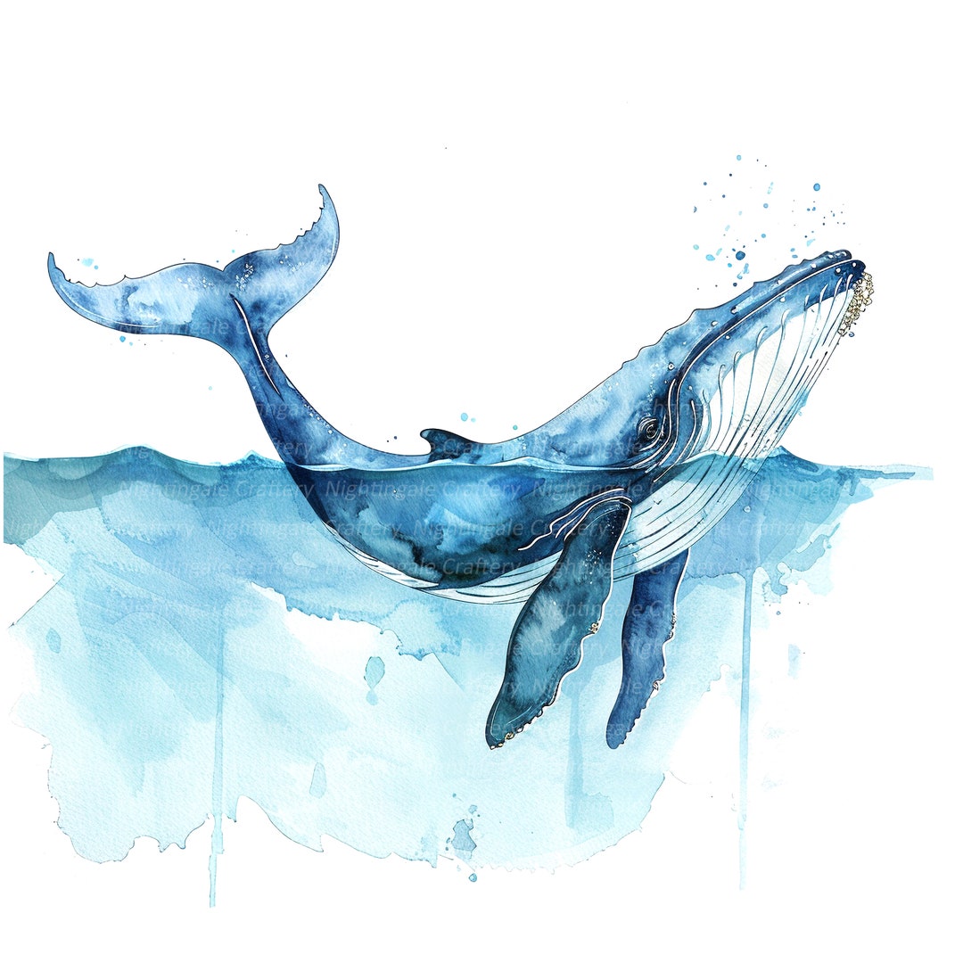 10 Whale in Sea Clipart, Whale Illustration, Printable Watercolor ...
