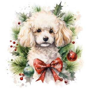 14 Christmas Poodle Clipart, Pudel, Printable Watercolor Clipart, High ...