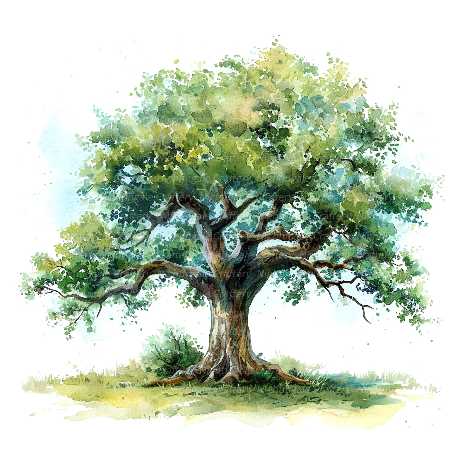 12 Oak Tree Clipart, Oak Clipart, Autumn Oak, Printable Watercolor ...