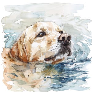 12 Golden Labrador Swimming Clipart, Dog Swim, Printable Watercolor ...