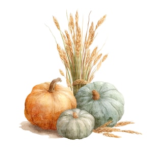 9 Boho Autumn Wall Art, Pumpkin Clipart, Digital Clipart, Watercolor ...
