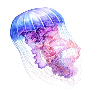 10 Jellyfish Clipart, Sea Jelly, Printable Watercolor Clipart, High ...