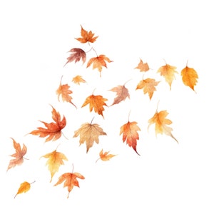 12 Falling Autumn Leaves Clipart, Fall Leaves, Printable Watercolor ...