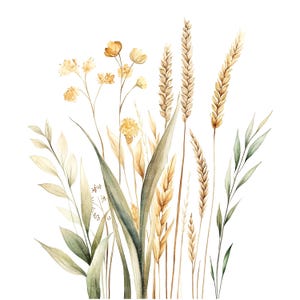 11 Boho Wheat Barley Stalks, Wheat Wall Art, High Quality JPG/PNG ...