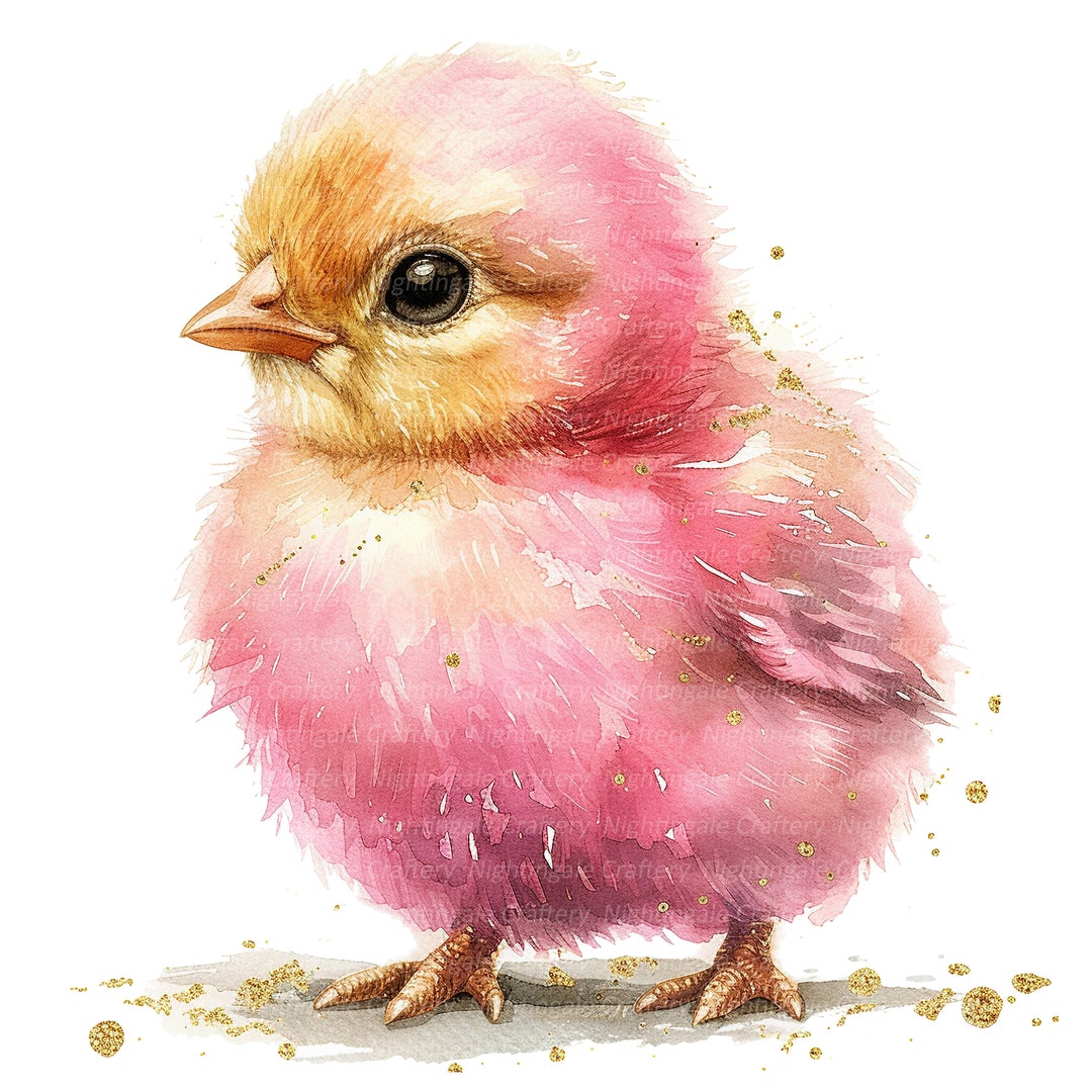 8 Pink Easter Chick Clipart, Easter Chick, Printable Watercolor Clipart ...