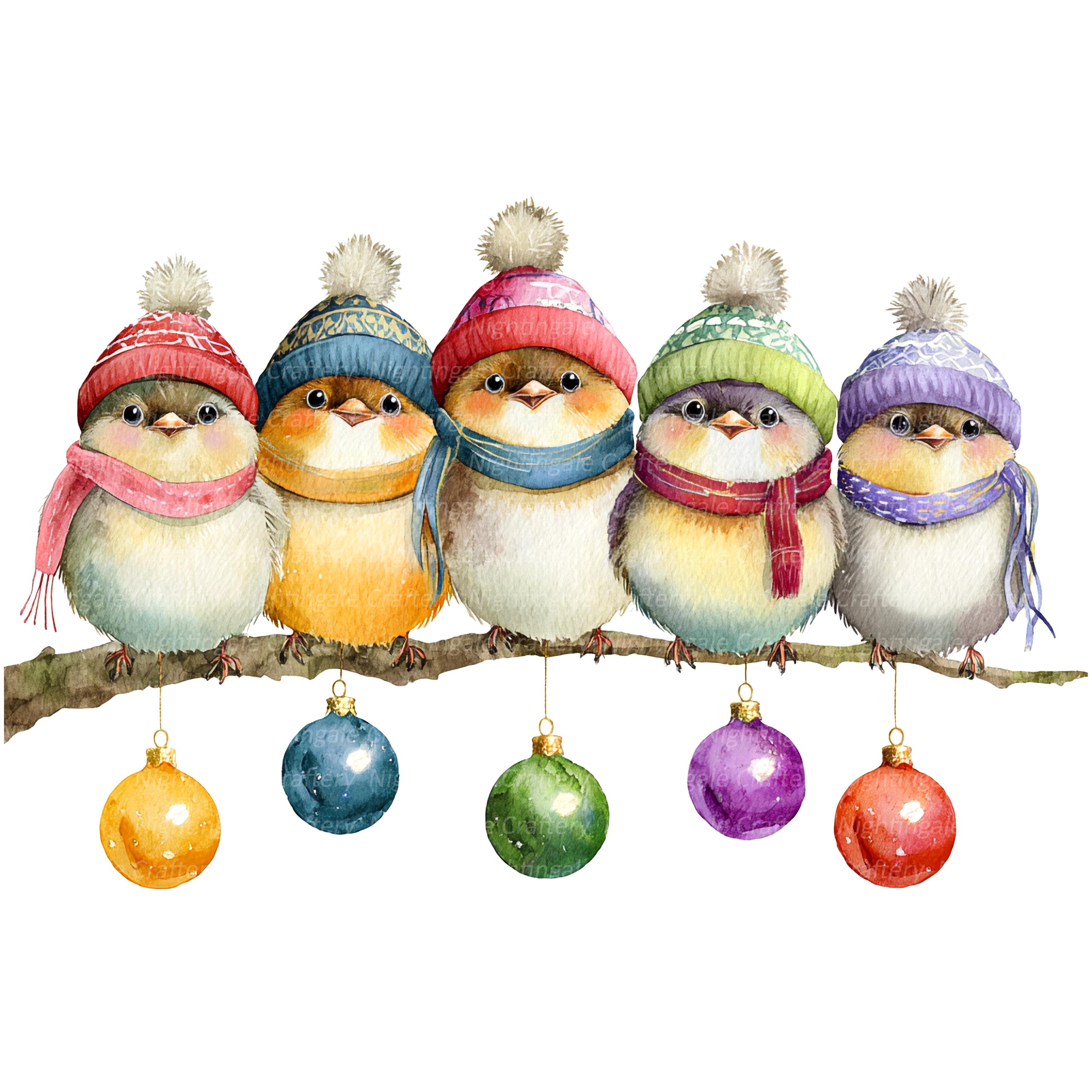 10 Funny Christmas Birds Clipart, Robin, Printable Watercolor Clipart ...