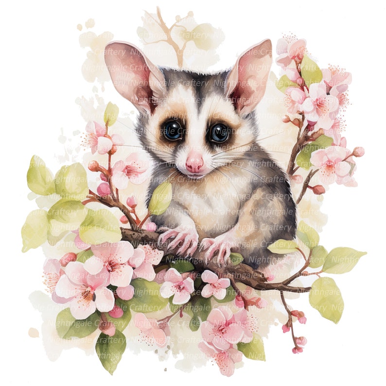 Sugar Glider Clipart Printable Watercolor Clipart 10 High - Etsy