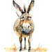 10 Cartoon Donkey Clipart, Grumpy Donkey, Printable Watercolor Clipart ...