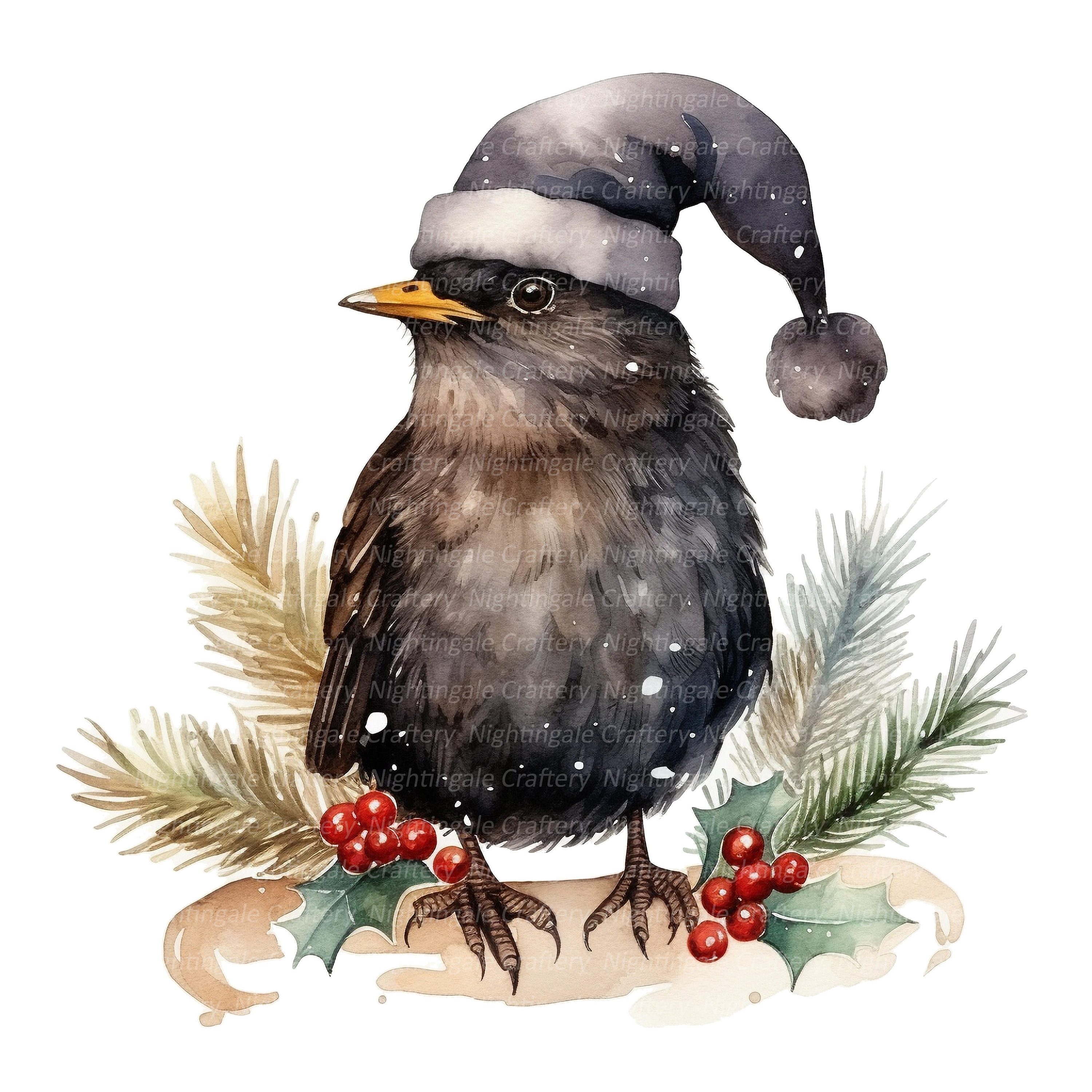12 Christmas Blackbird Clipart, Black Bird, Printable Watercolor ...