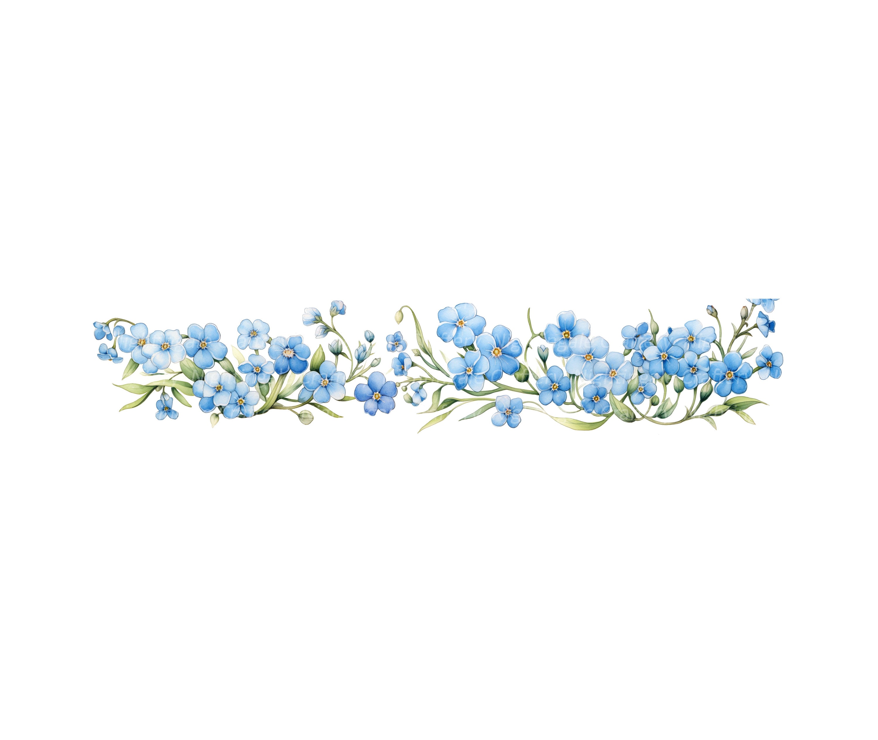 Floral Border Forget Me Not Border Digital Clipart - Etsy