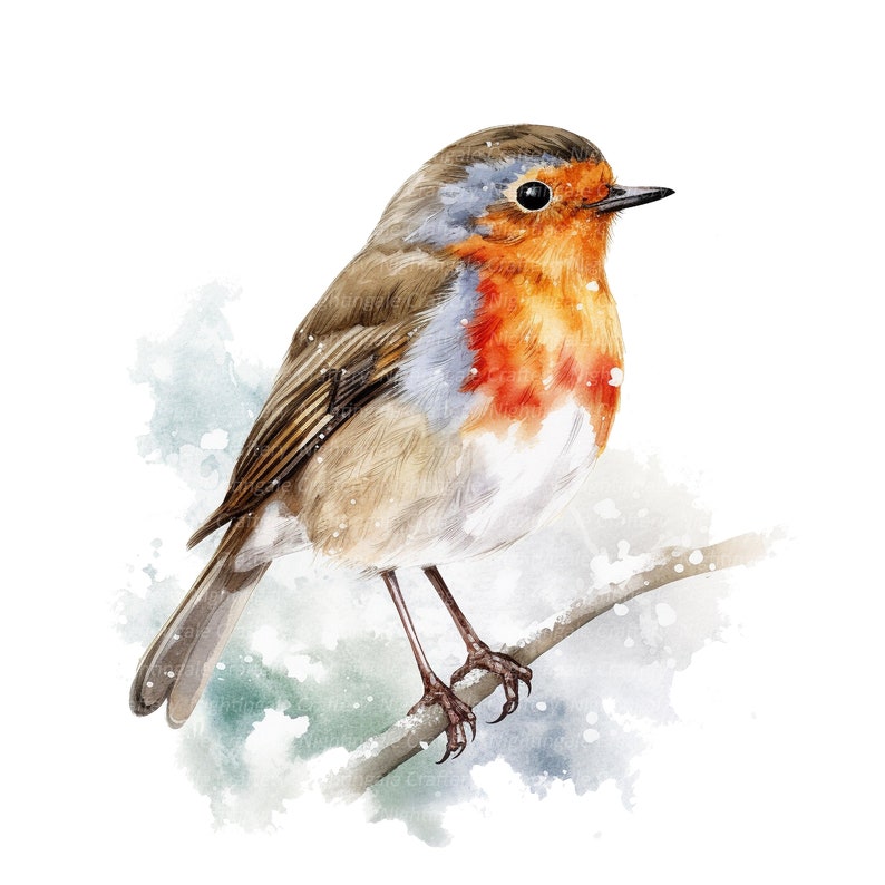 10 Christmas Robin Clipart, Printable Watercolor Clipart, High Quality ...