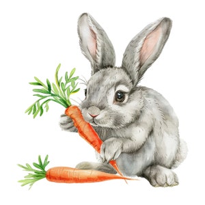 8 Bunny With Carrot Clipart, Cartoon Bunny, Printable Watercolor ...