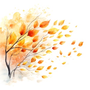 14 Autumn Leaves Windy Clipart, Fall Leaves, Printable Watercolor ...