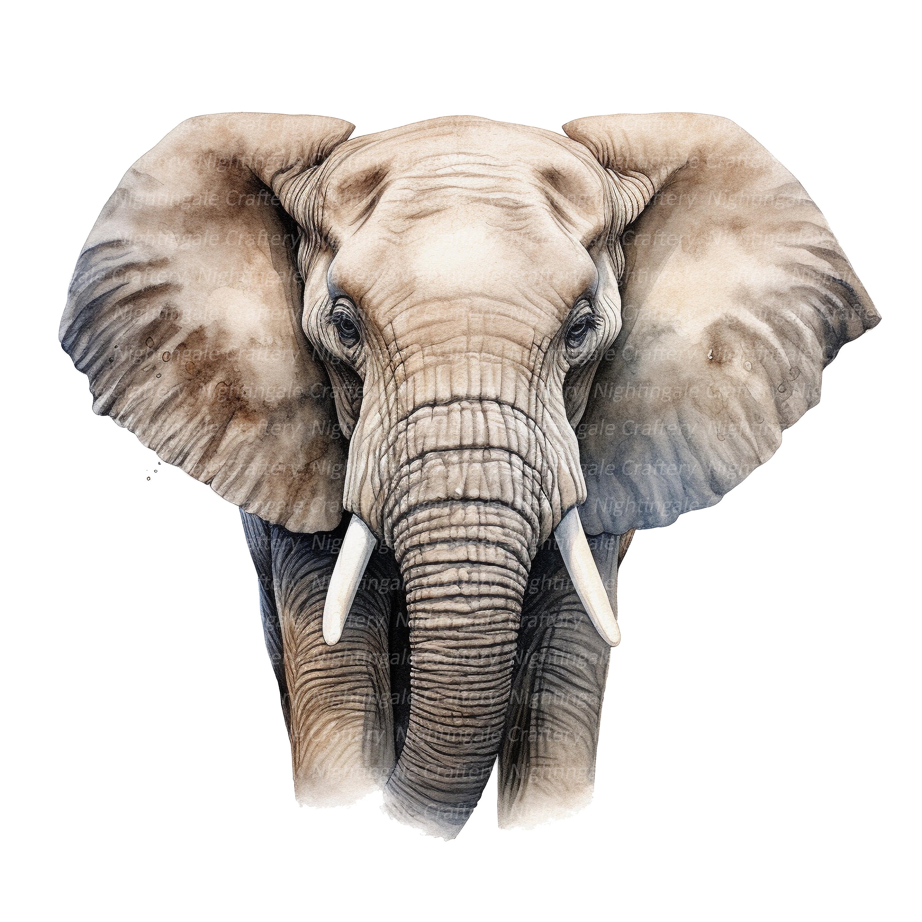 10 Elephant Clipart, Watercolor Elephant, Printable Watercolor Clipart ...
