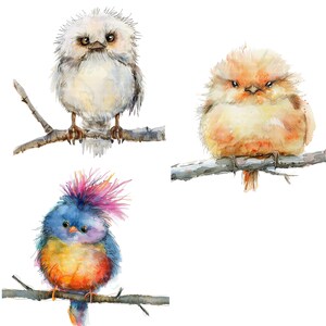 14 Whimsical Birds Clipart, Quirky Birds, Digital Clipart, Watercolor ...